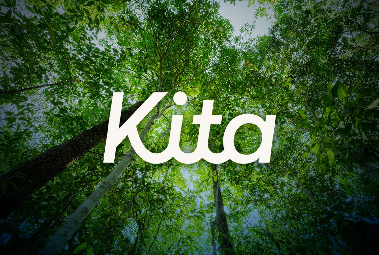 Kita to pay claims with carbon credits in industry first | The Insurer